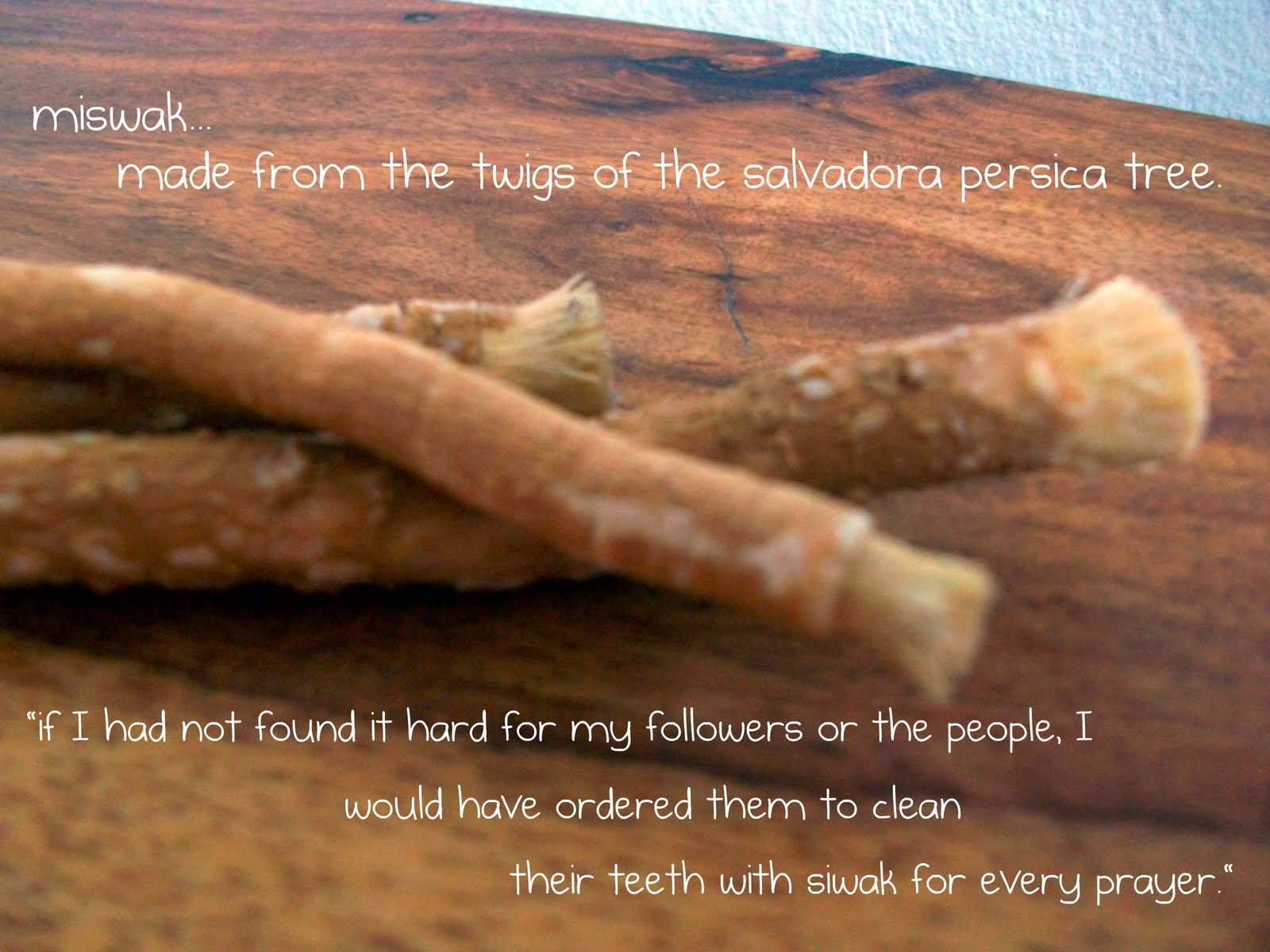 Kayu Sugi penyebab Kemenangan Tentera Islam...