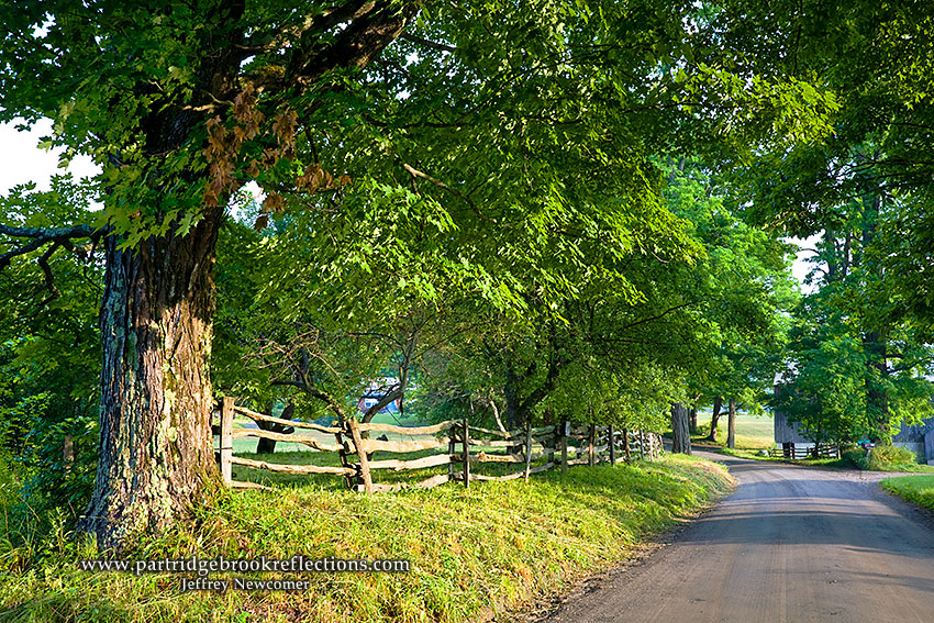 Getting it Right in the Digital Camera : Photographic Treasures of ...