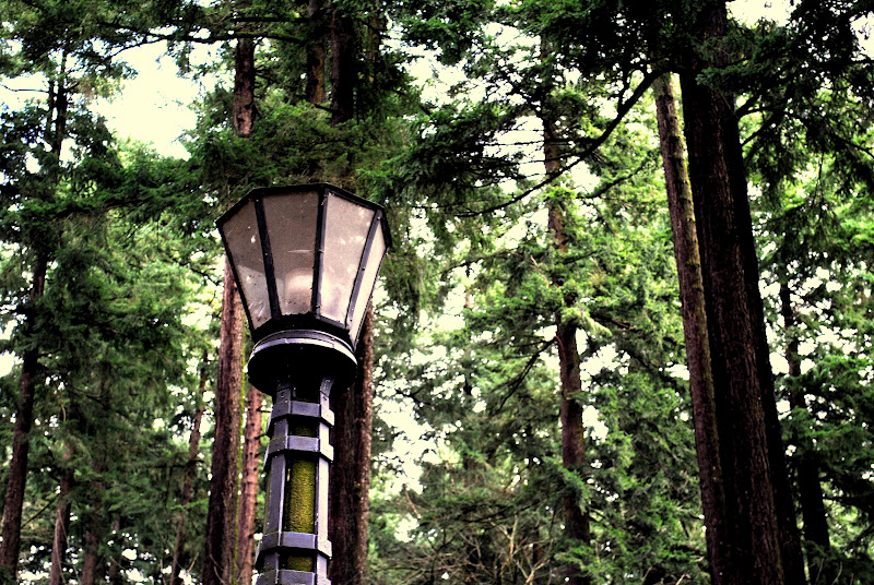 Black Watch Sasquatch: Mt. Tabor Park - Portland, Oregon