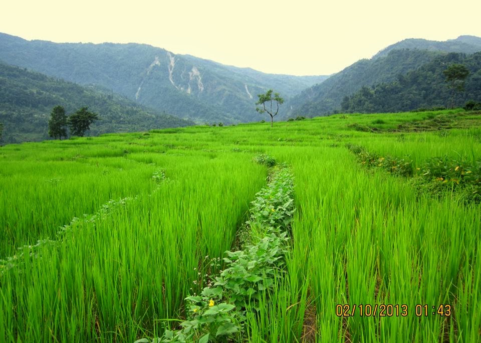 GORUBATHAN Village Tourism: Village Tourism in Gorubathan