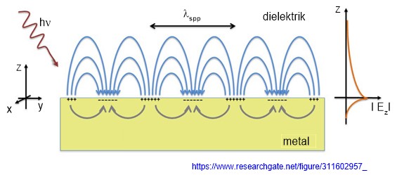Prof. Dr. Bilsen Beşergil: Plasmon (plasmon)