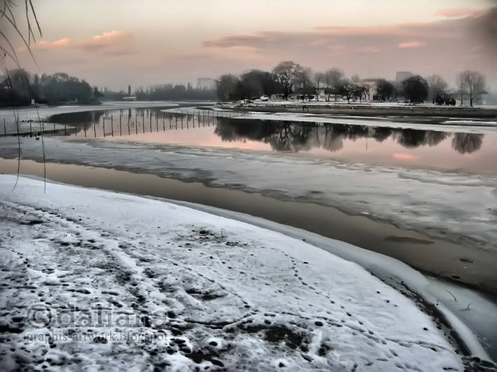 Photographis: February 2011