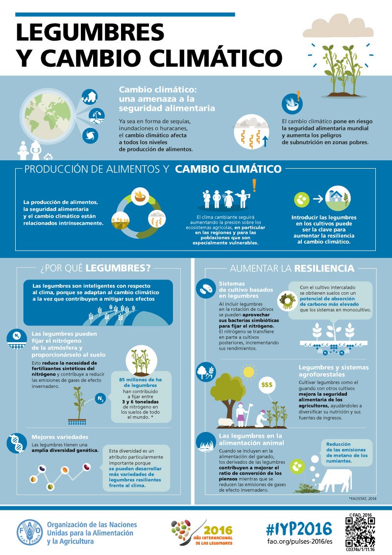 Infografía de FAO, OMS, UNESCO