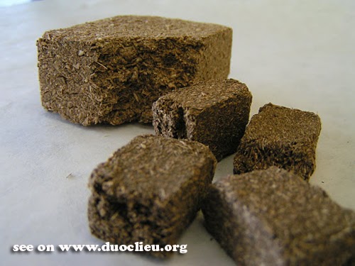 Medicated leaven (Shenqu)-Massa Fermentata Medicinalis