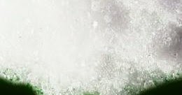 Bismuth Oxychloride Free Makeup List - Forest for Women