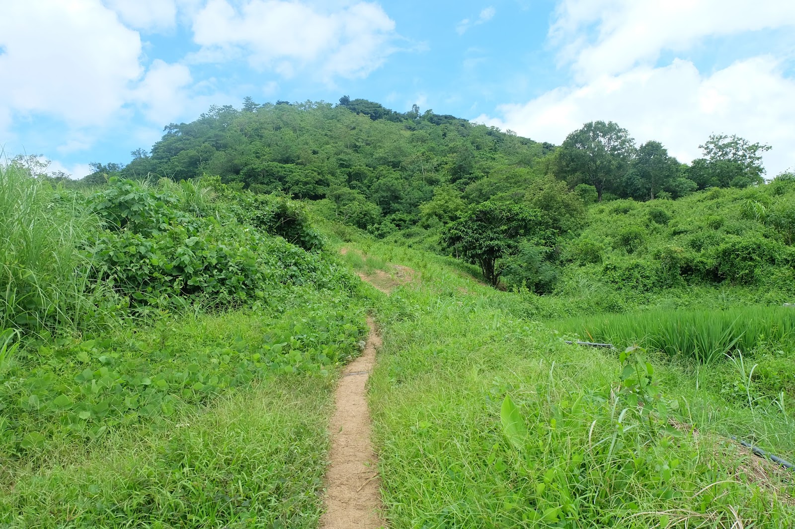 Mt. Cayabu and Mt. Maynoba Traverse to 8 Wonder Falls - From The ...