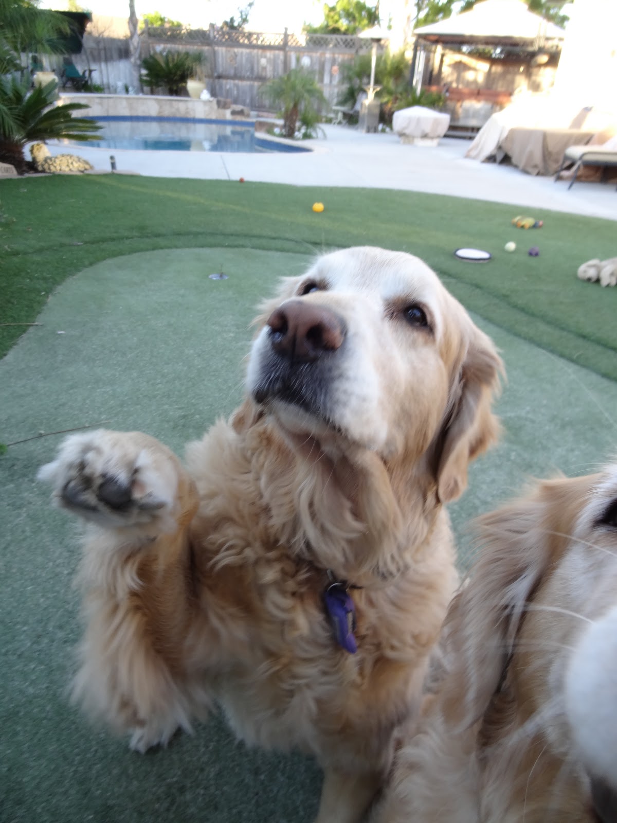 random ramblings: Hiddy-Ho Good Neighbor