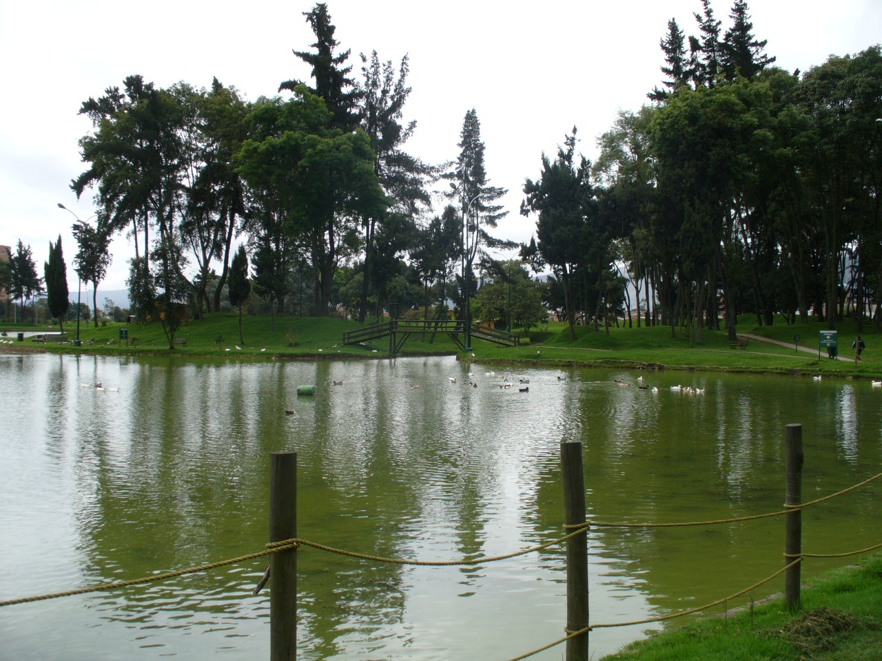 RutaBioBogotana: Parque El Lago