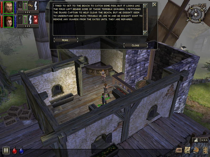 Super Adventures in Gaming: Dungeon Siege (PC)