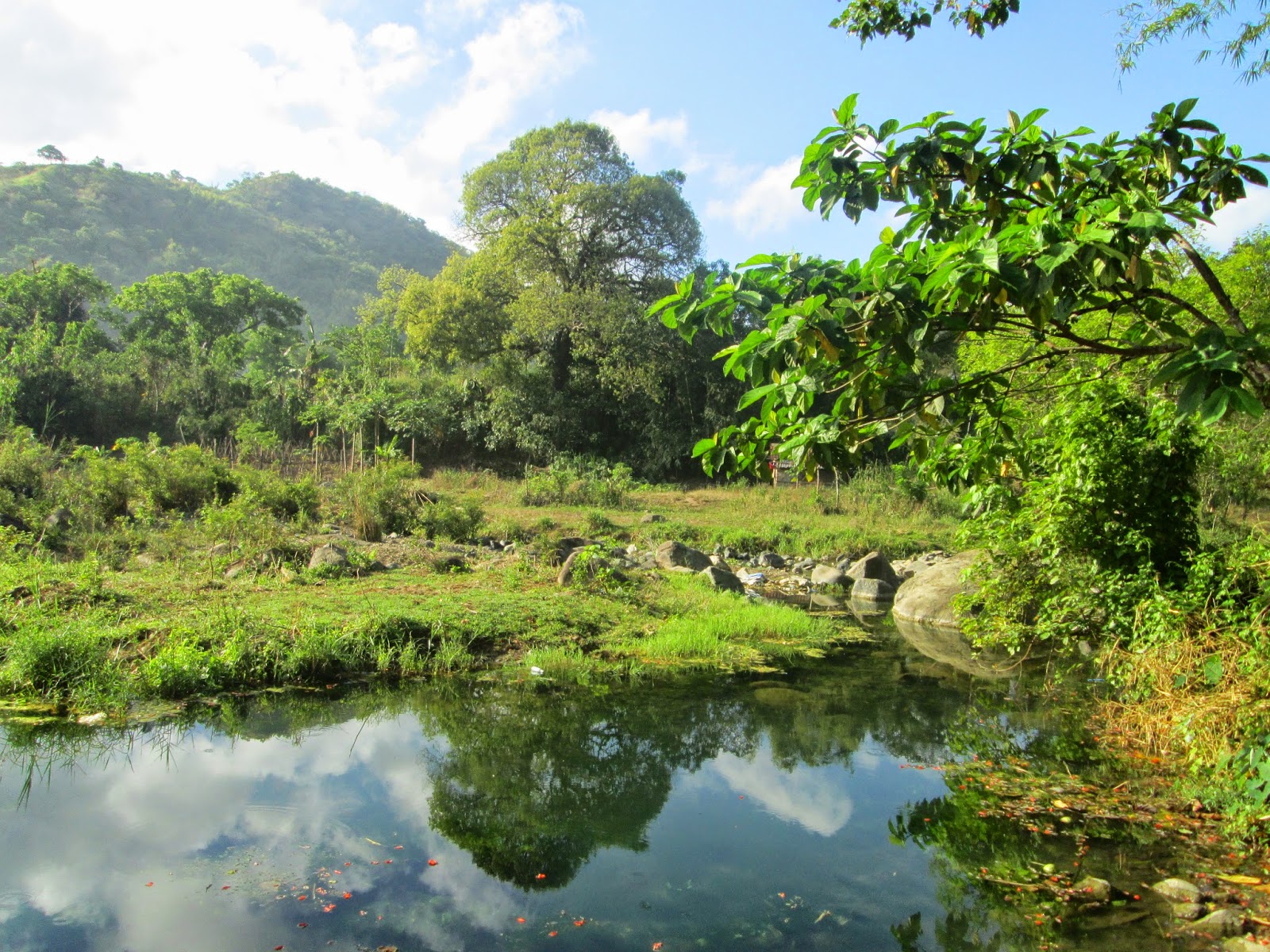 Skookum Mountaineers: Mt. Batolusong - Duhatan Ridge; Mapatag Plateau ...