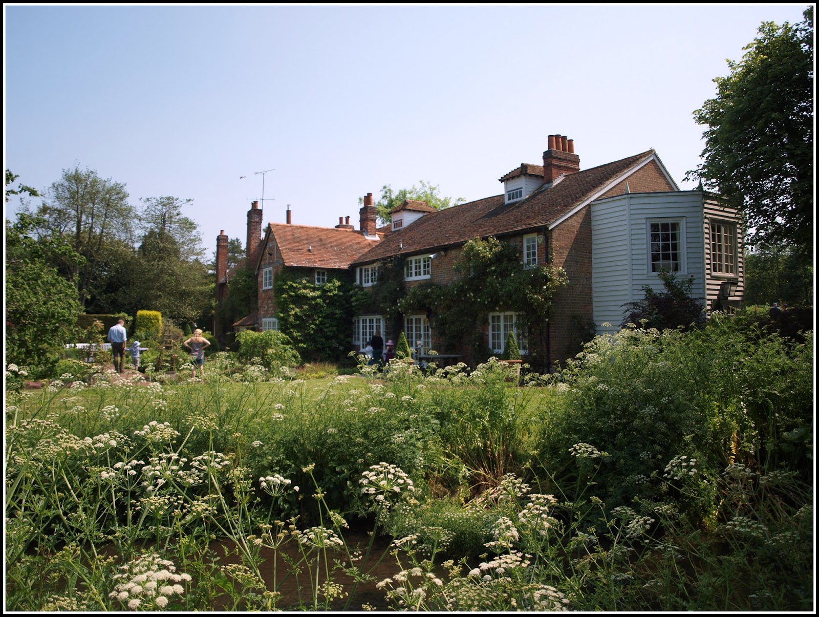 Mark's Veg Plot: Dipley Mill