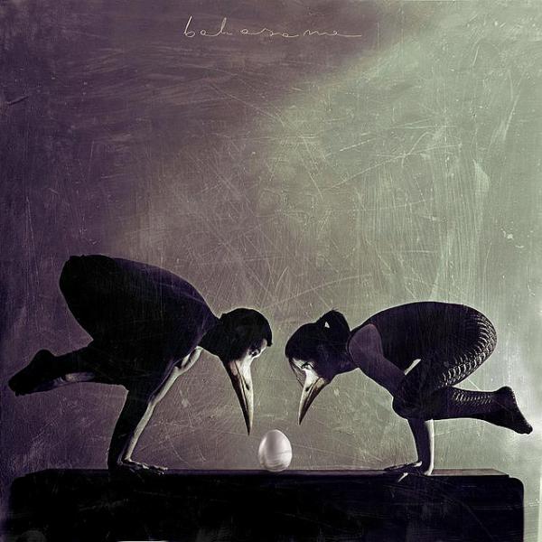 Unfolding Creatively: Yoga-Inspired Photography