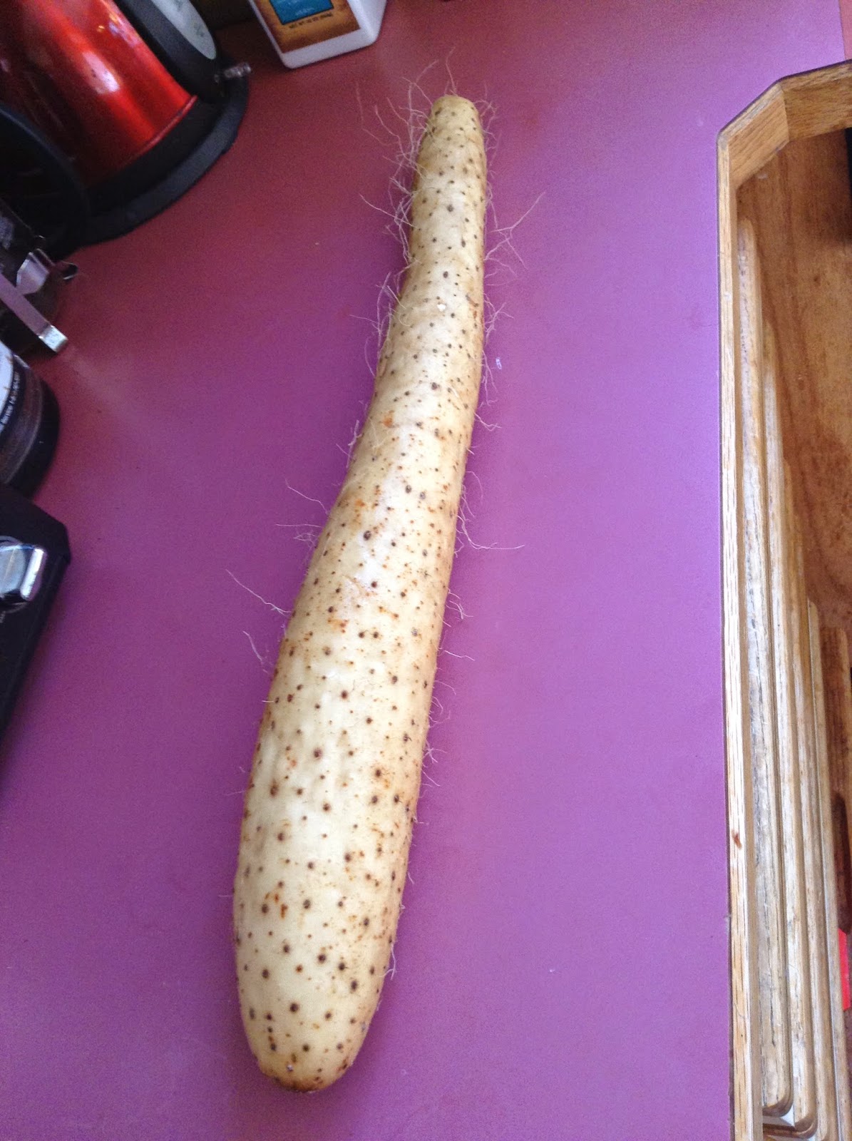 Silly Little Mischief: Weekend Cooking: Yamatoimo