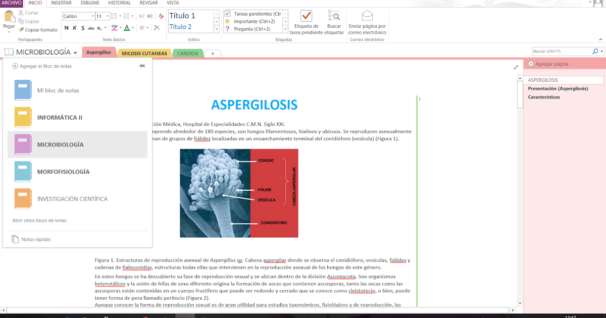 BLOG OF A MEDICAL STUDENT: Mi OneNote