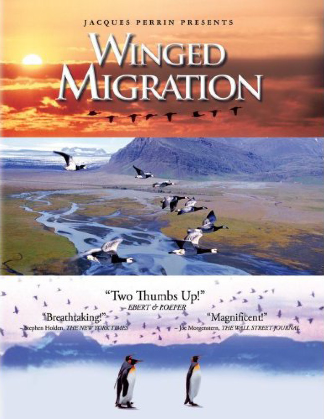 Reel FX Art: Winged Migration