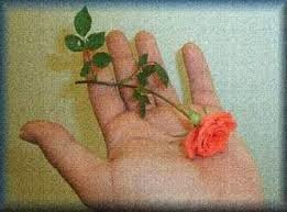 El Blog de la Loles Independiente 2: Palabras que aún se usan (en ...