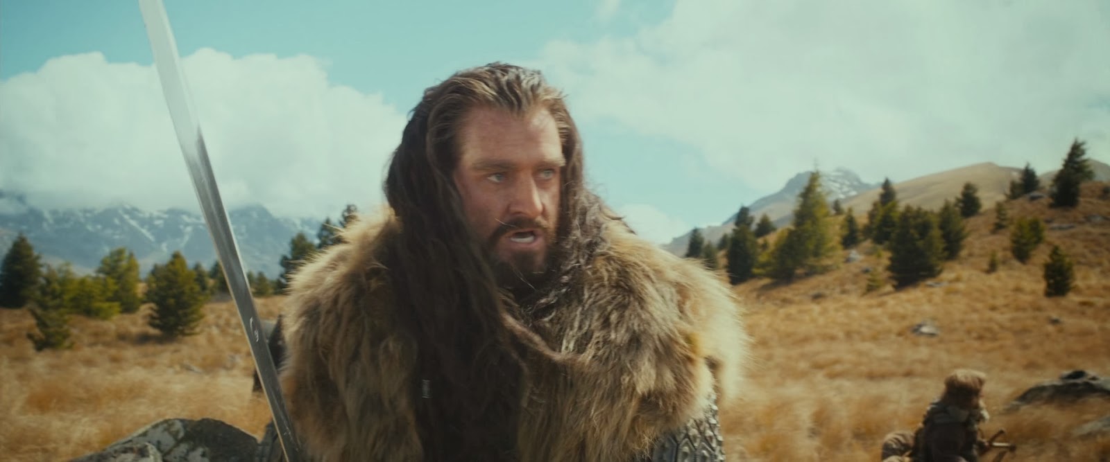 White Rose: Sincere and Simple Thoughts: Thorin Revisited in Pictures ...