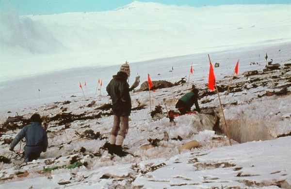 grasshoppair.com: Air New Zealand Flight 901