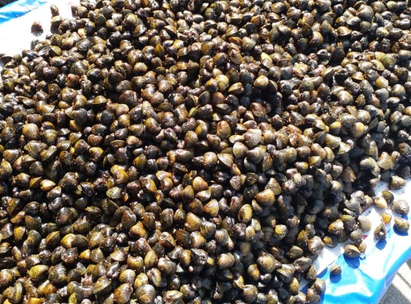 Bicara Mentari: Etak salai berempah