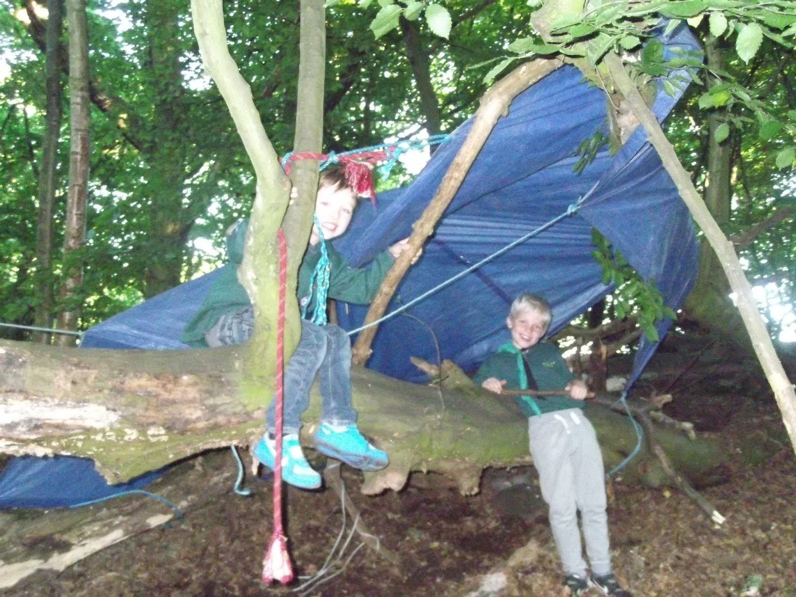 3rd Ware Scout Group: Shelter building in Presdales Woods