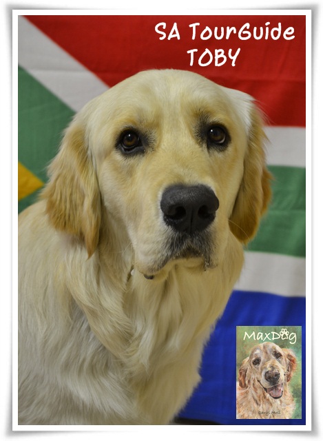 LIVING LIFE TO THE MAX: TOURGUIDE TOBY'S "TOP 10" TOURIST ATTRACTIONS ...