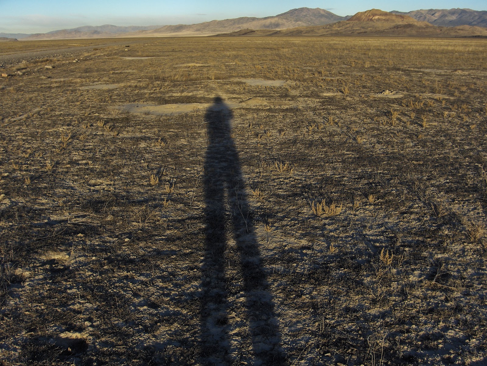 Walking Arizona: Self Portrait