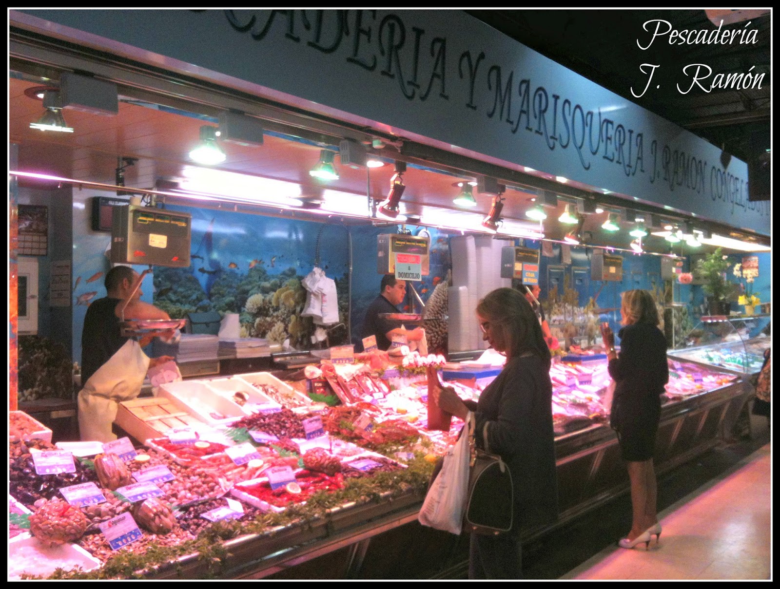 Pescadería J.Ramón: ¿QUÉ ES EL PESCADO Pescadería J.Ramón: ¿QUÉ ES EL PESCADO