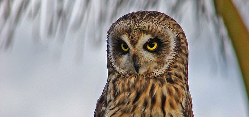 Honouliuli Ewa Traditional Cultural Properties: Honouliuli Ewa Plain ...