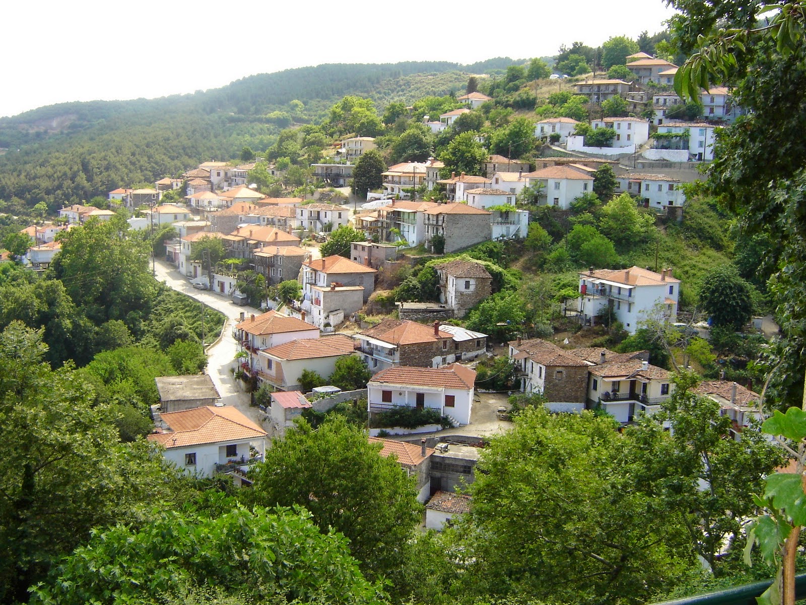 ΚΑΣΤΑΝΑ ΜΕΛΙΒΟΙΑΣ
