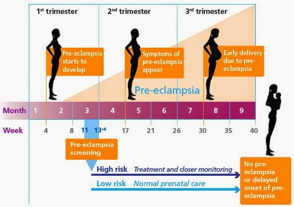 Medical publications: Preeclampsia