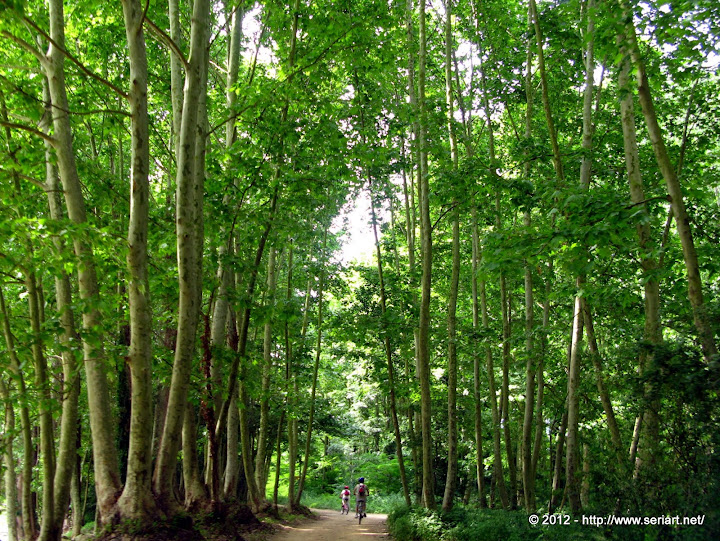Cicloturismo – La Vall de Ramió – Hostalric – Rio Tordera – La Farga ...