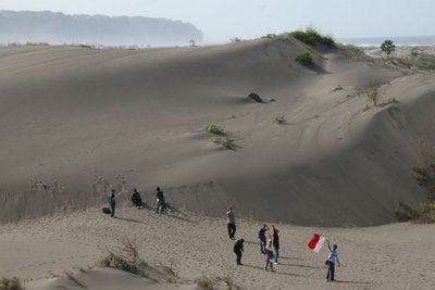 Gumuk Pasir Parangtritis, Satu- satunya di Asia Tenggara