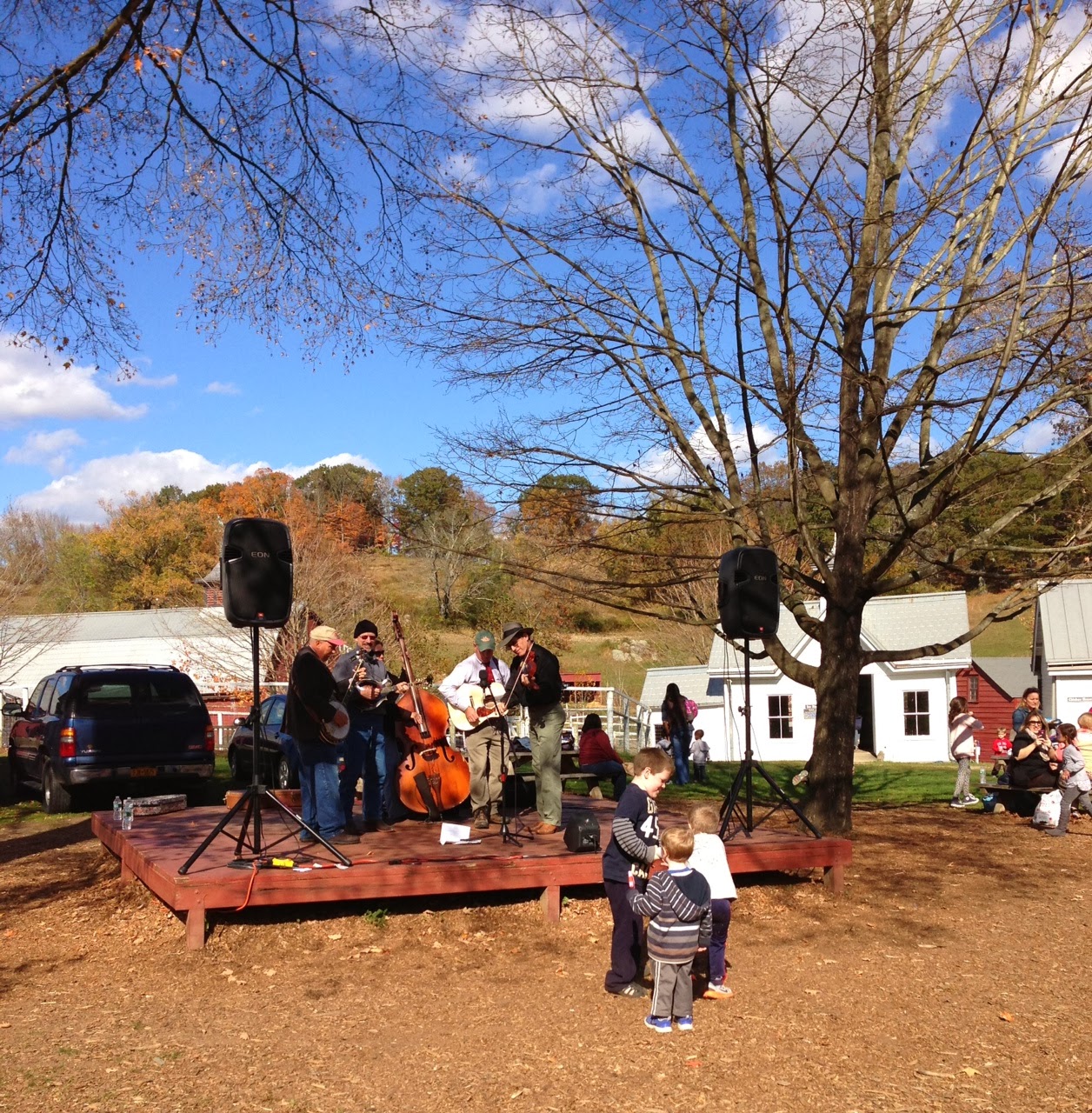 Sun pours down like honey: Muscoot Farm