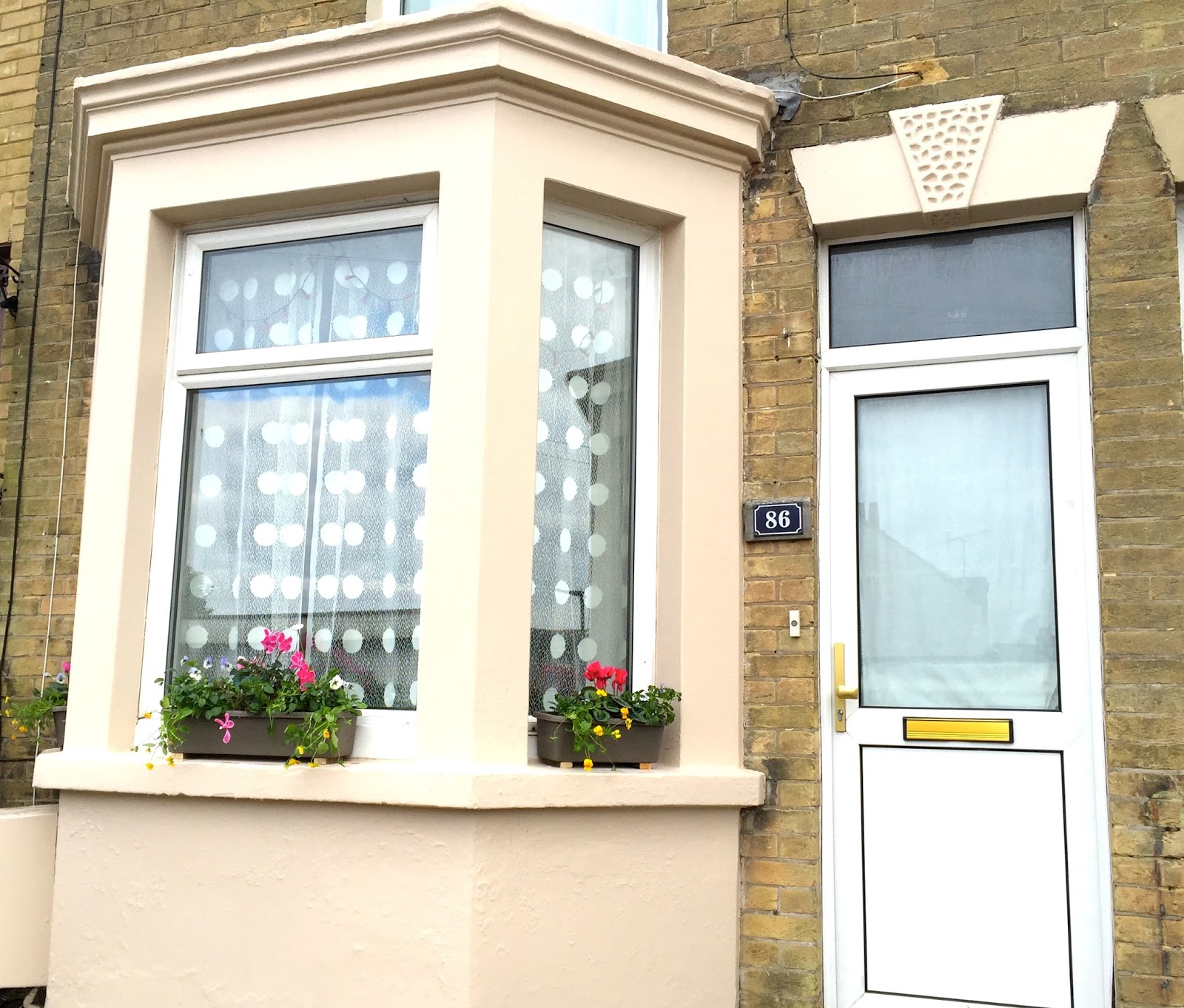 A Sunny Island : A sunny window: how we made our window boxes