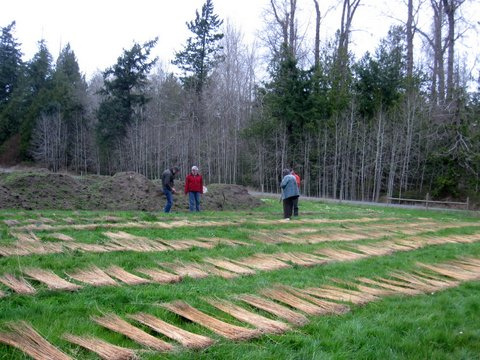 flax to linen victoria bc: Retting
