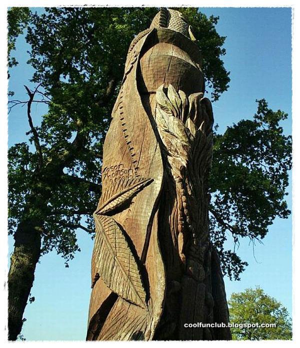 .: Amazing Tree Sculptures