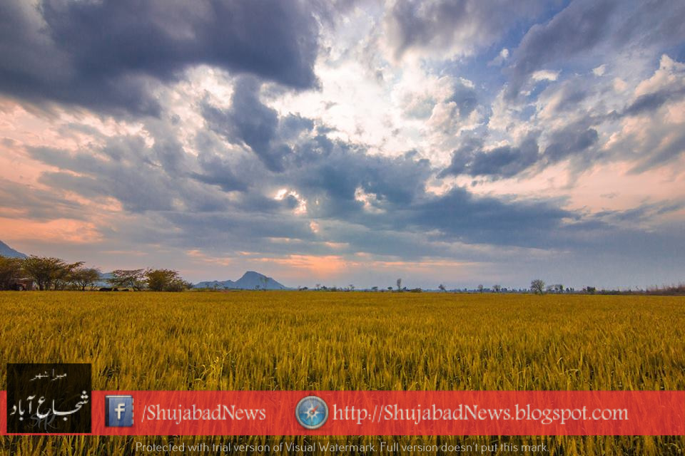 شجاع آباد کی خوبصورت فوٹوگرافی - Shujabad News - A News portal for ...