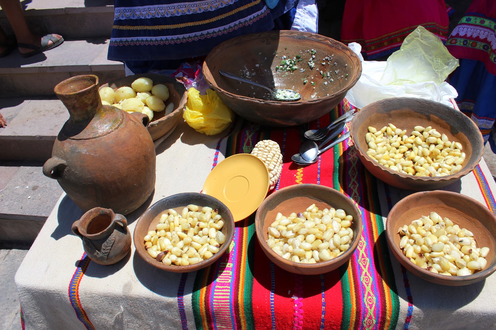 VALLE DE LOS VOLCANES: DISTRITO CHACHAS “LA PERLA DE CASTILLA”