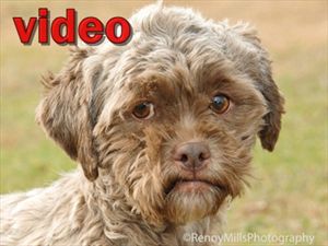 WRA DRASIS: 2013-02-03