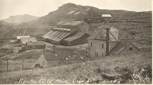 The Alaska Peninsula Montane Taiga