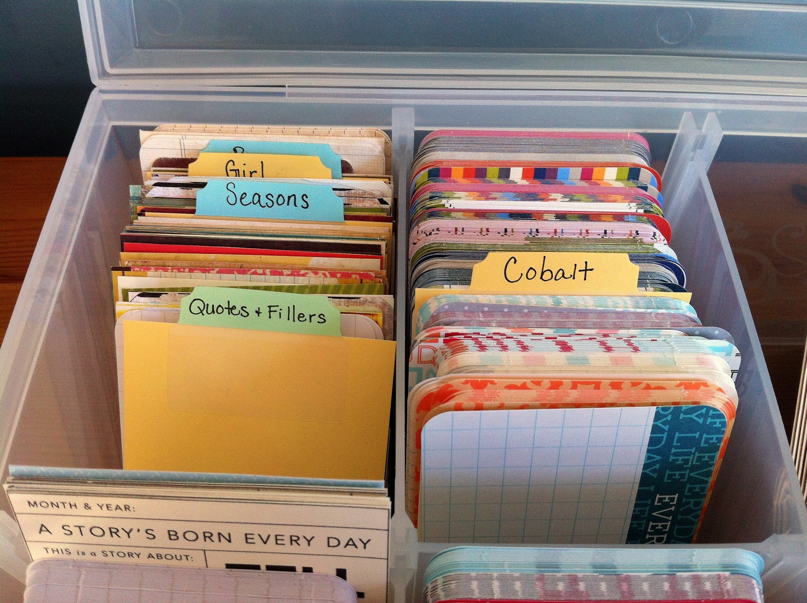 Arnprior Scrapper: Project Life Organization