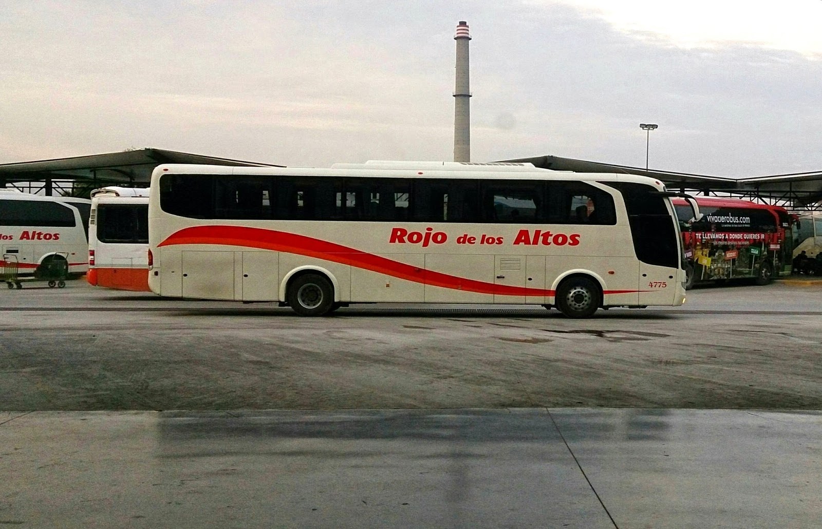 Dr Samuel Banda: AUTOBUSES ROJOS DE LOS ALTOS