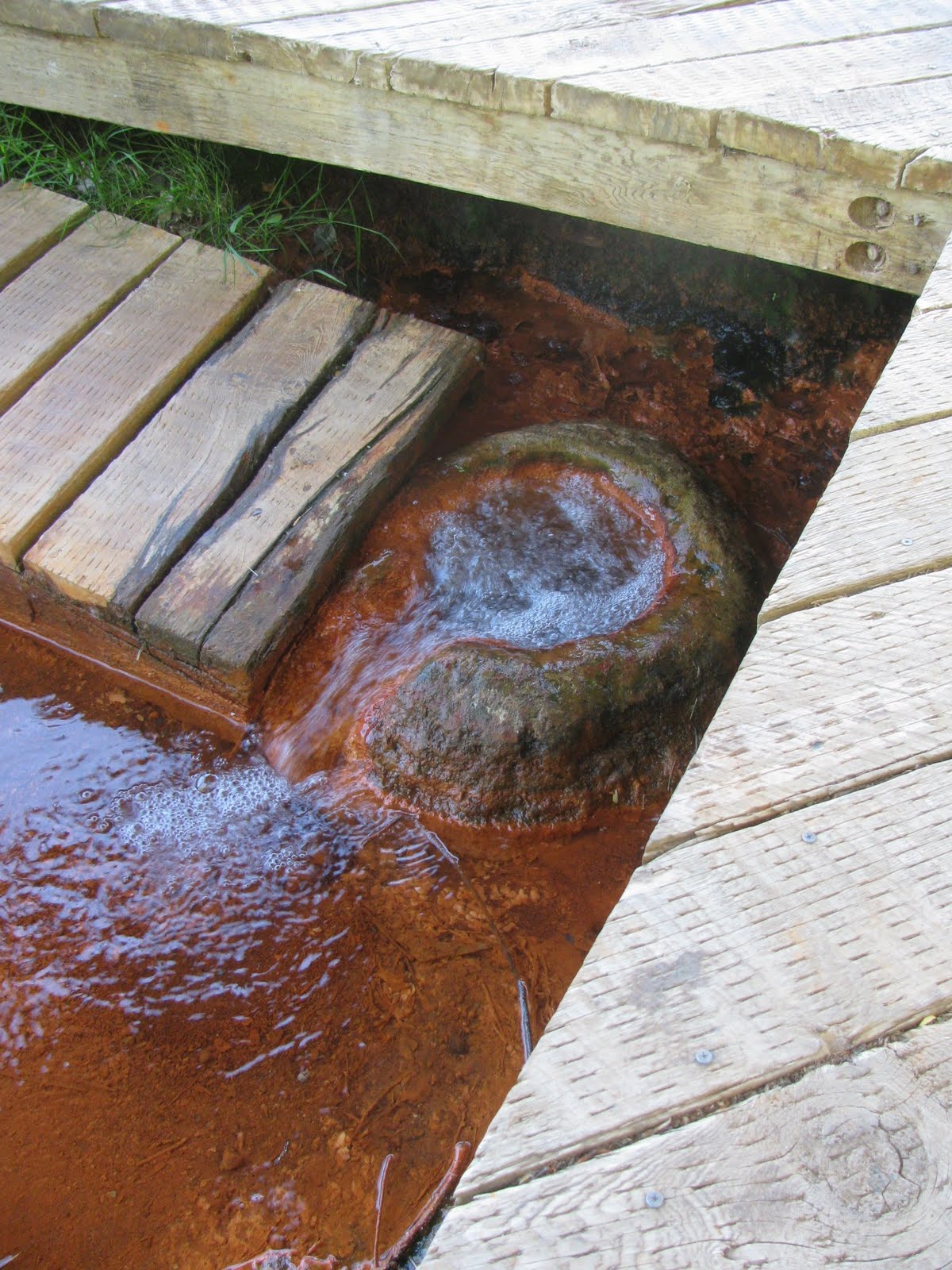 Backyard Excursions: The Carbonated Springs of Soda Springs