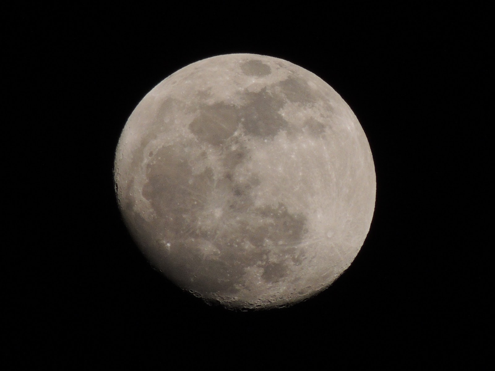 Using SQL Scritps: Photo