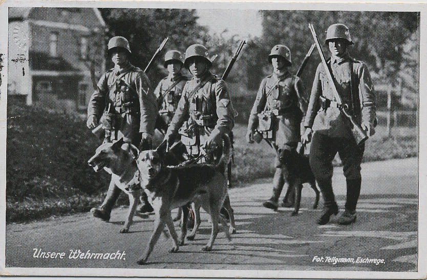 NAZI JERMAN: Album Foto Anjing (Hunde) Nazi Jerman