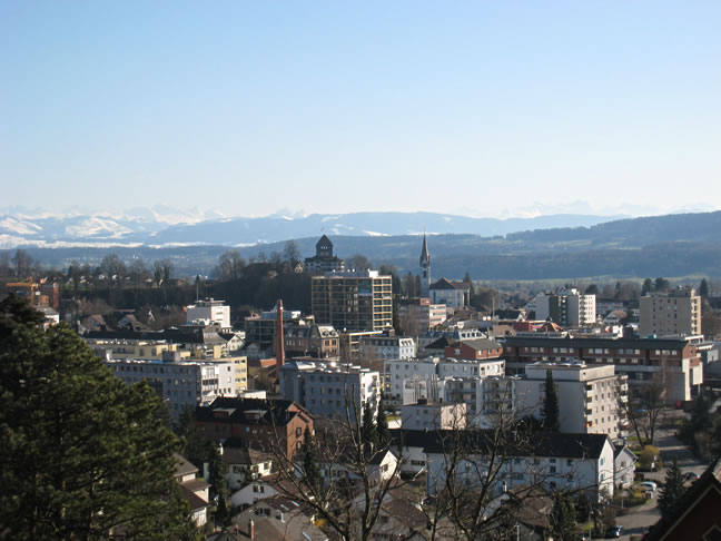 Ruocco tribù: RUOCCO A USTER (CH)