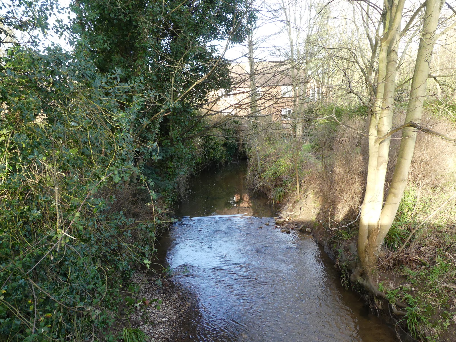 Ragged Robin's Nature Notes: A Visit to a Motte and Bailey Castle