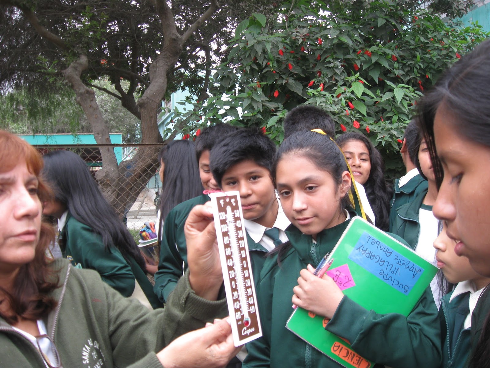 P, MURAL CTA 7073 "SANTA ROSA DE LIMA" VMT