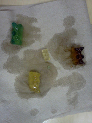 Schneider Science : Gummy Bears Lab