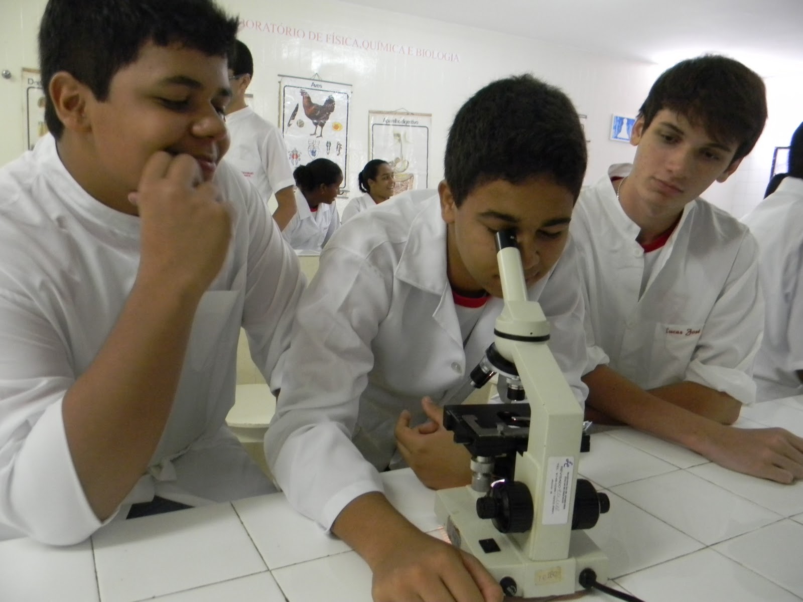 Laboratório de Biologia e Meio Ambiente: Prática - 04, parte 1 ...